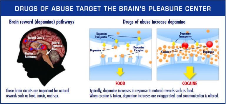 Addiction: A Dopamine Story – Cobbers on the Brain
