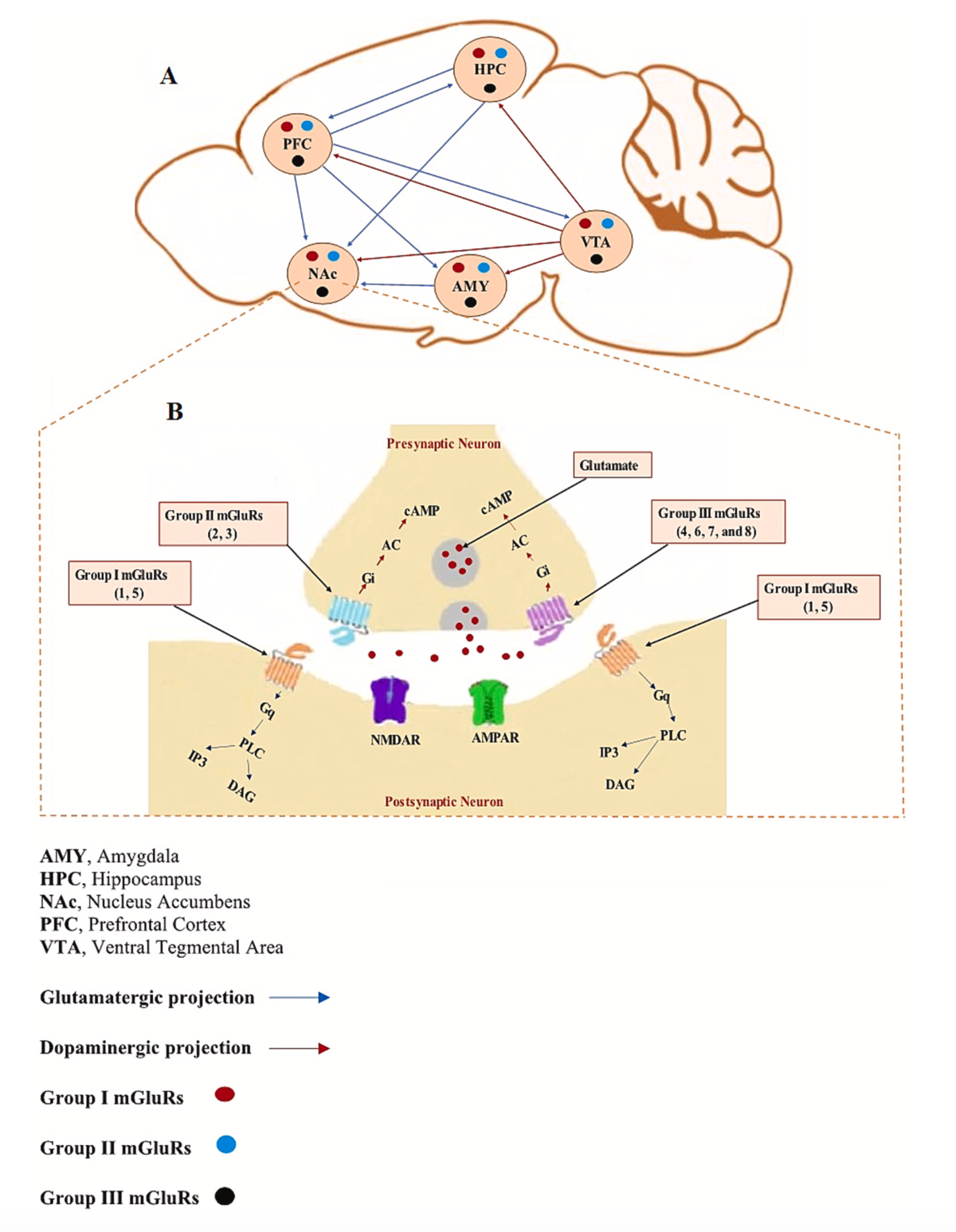 Addiction Rewires Your Brain: Can We Rewire It Back? – Cobbers on the Brain