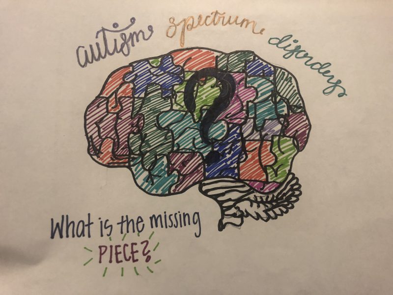 The Autism Spectrum Disorder Puzzle: Piecing it all Together – Cobbers ...