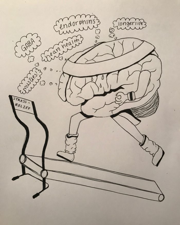 This Is Your Brain on Exercise: Impact of Physical Activity on Stress ...