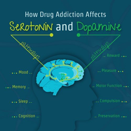 Dopamine’s Story – Cobbers on the Brain