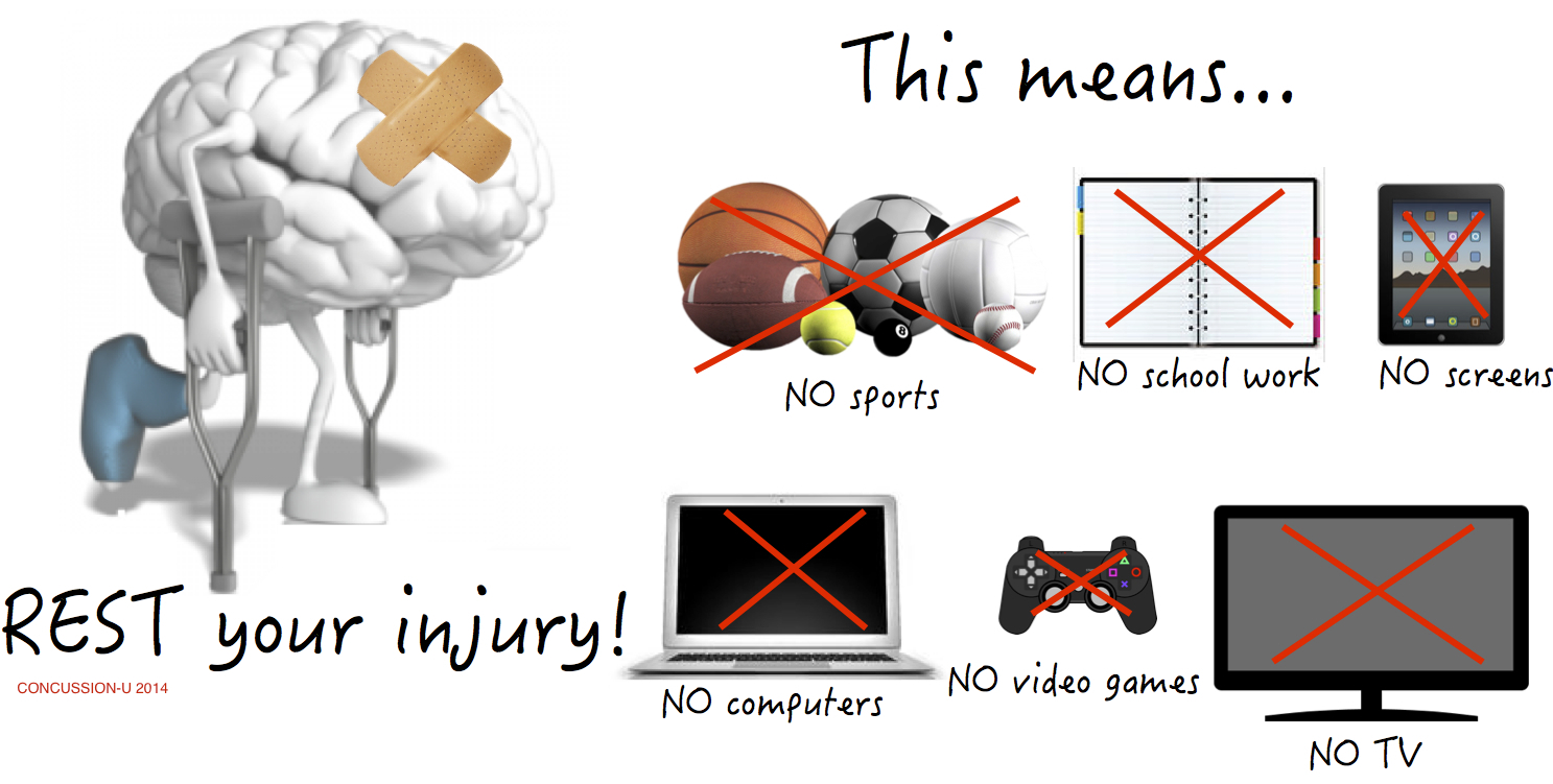 More than a Brain Bruise: Understanding Concussions – Cobbers on the Brain