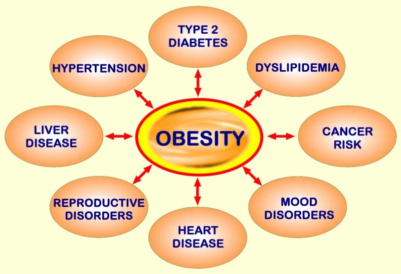 Obesity, will it be the world’s deadliest killer? – Cobbers on the Brain