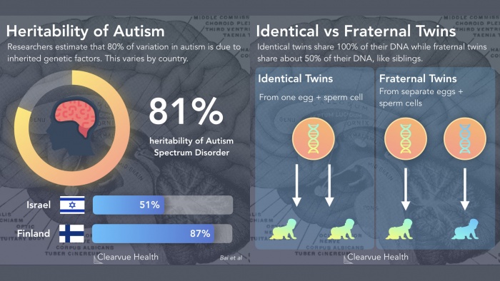 Inherited Genetics Regarding Autism – Cobbers on the Brain