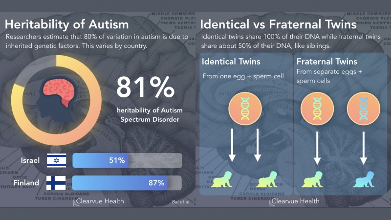Inherited Genetics Regarding Autism – Cobbers on the Brain