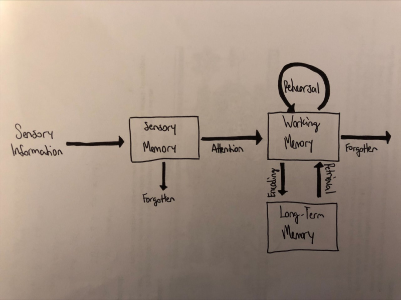 Sleep On It: The Impact of Sleep on Learning and Memory – Cobbers on ...