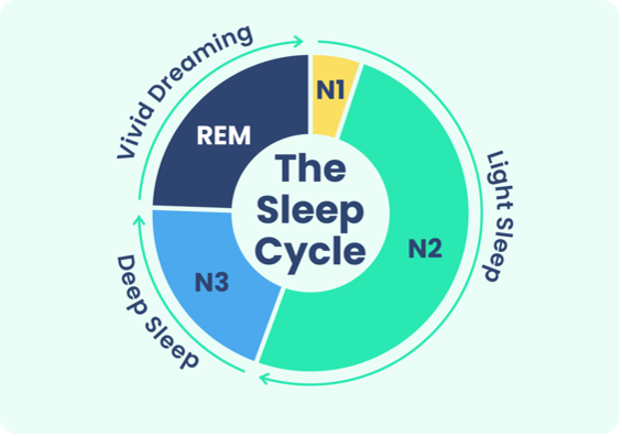 Untangling the Mysteries of Sleep: A Neuroscience Perspective – Cobbers ...