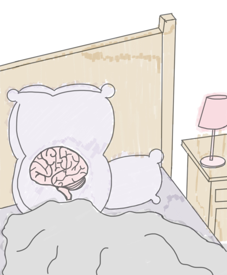Sleep and Memory – Cobbers on the Brain