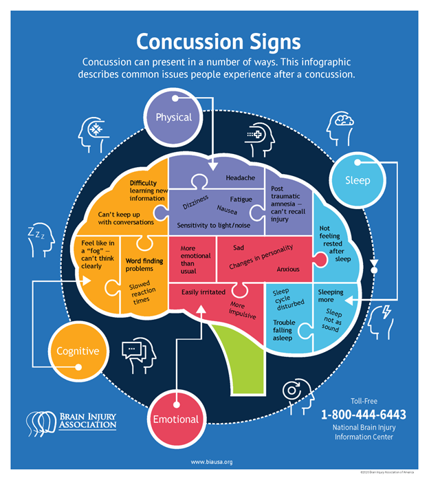 The Brain’s Breaking Point: What Really Happens After a Concussion ...
