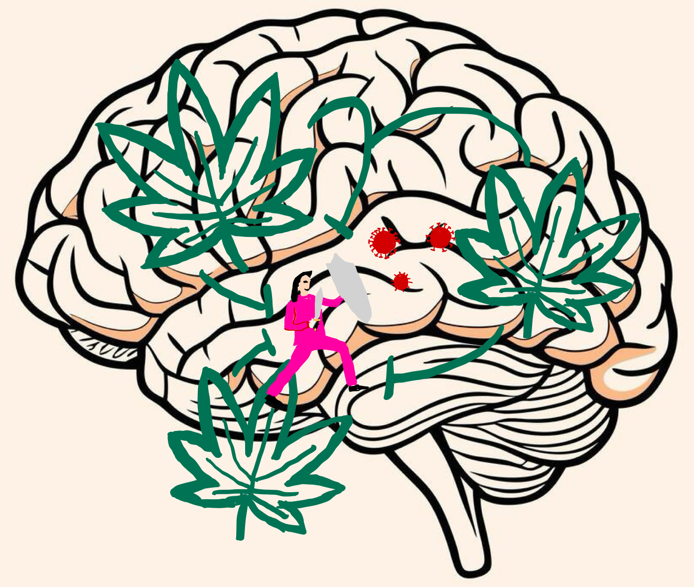 The Potential Protective Impact of Cannabis on Your Neurons – Cobbers ...
