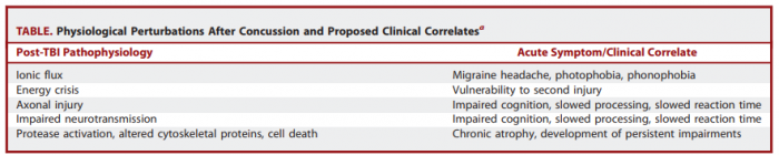 Rethinking Concussion Protocols: Are We Doing Enough to Protect ...