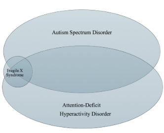 Fragile X Syndrome and its ties to Autism – Cobbers on the Brain