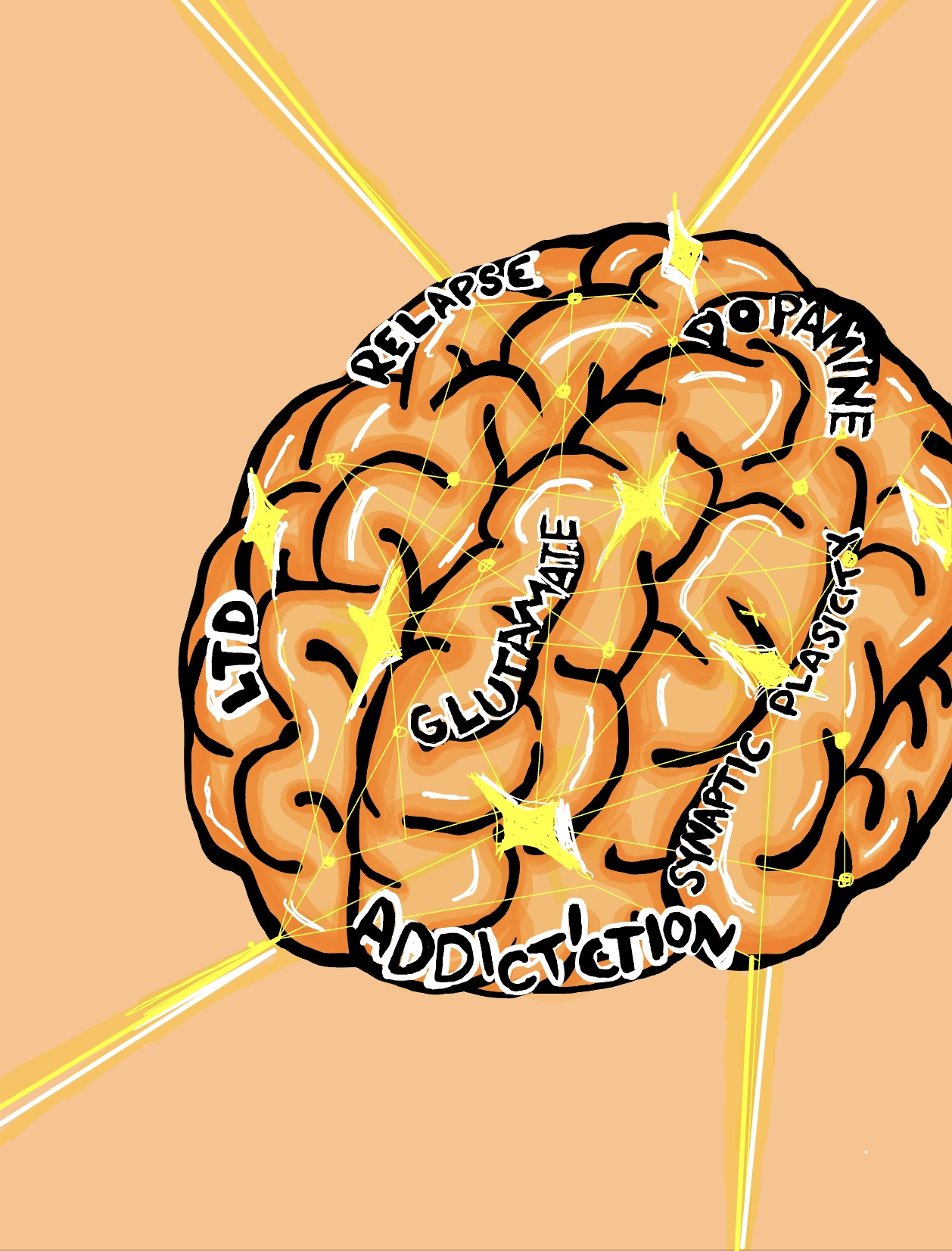 Hijacked Happiness: How Addiction Rewires the Brains Reward System ...