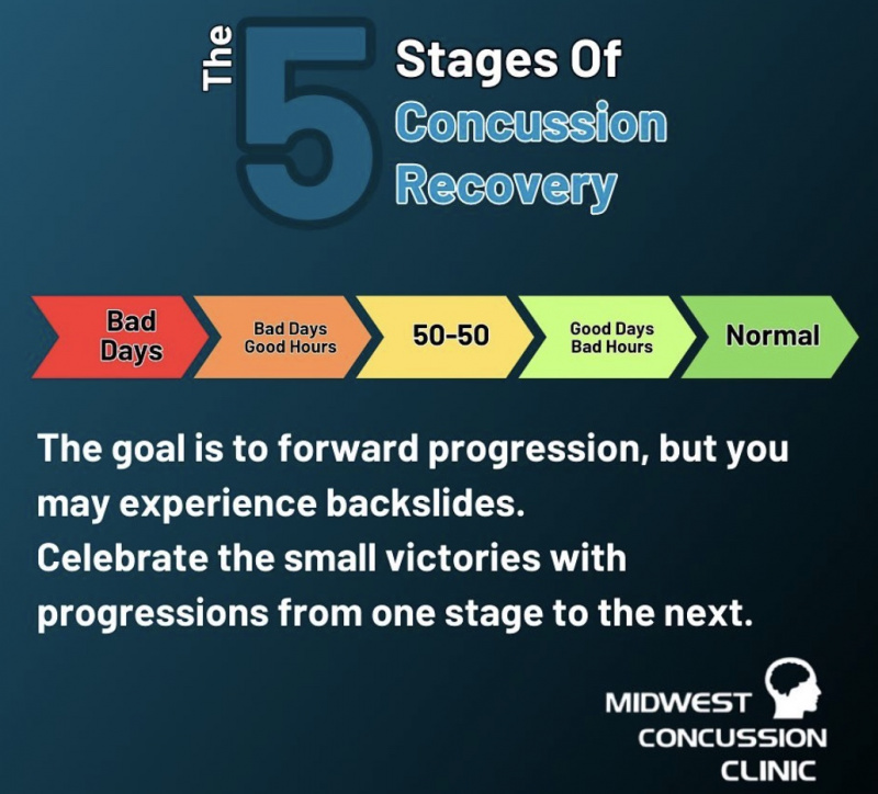 Beyond Symptoms: Molecular Recovery After a Concussion – Cobbers on the ...